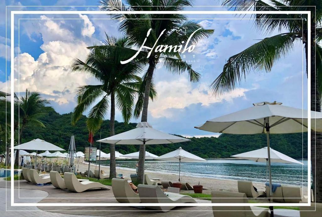 Pico de Loro Myna A 510, Papaya (updated prices 2025)