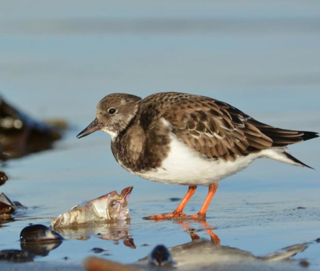 Emily Cottage, Redcar – Aktualisierte Preise für 2023