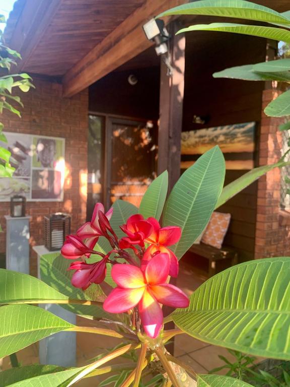 Bushland Beach Holiday House, Bushland Beach (updated prices 2026)