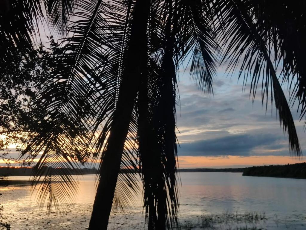 Cosmic Connect Trails Kabini, Antarasante (updated prices 2025)