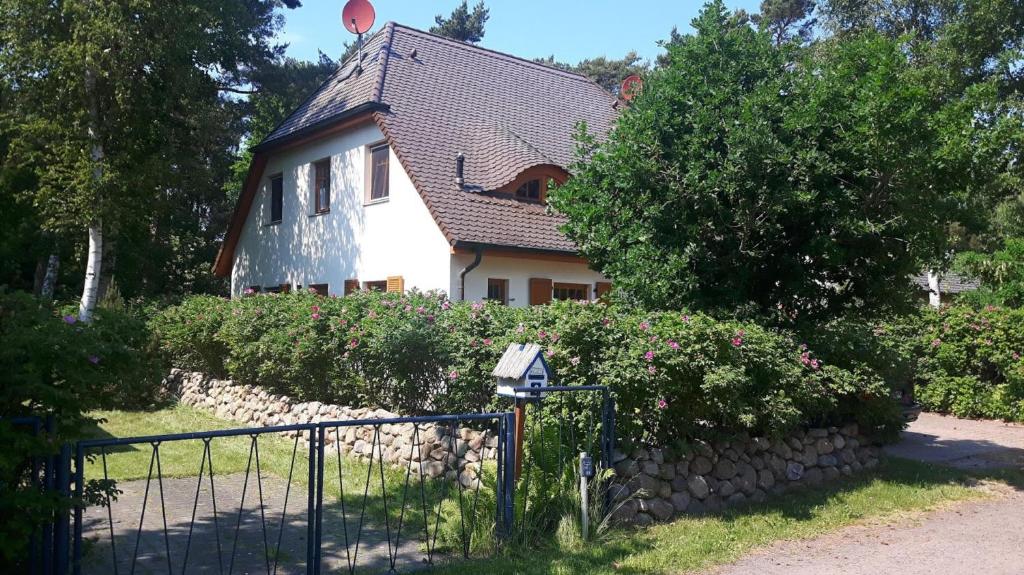 Meeresrauschen, Dierhagen (aktualisierte Preise für 2025)