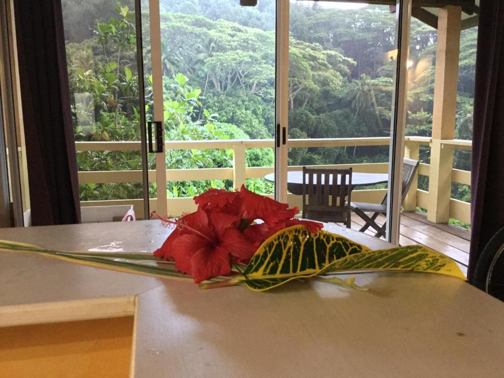 Villa MERAHI ... La villa d'Ange Fare Noa Mymy, Uturoa (updated prices ...