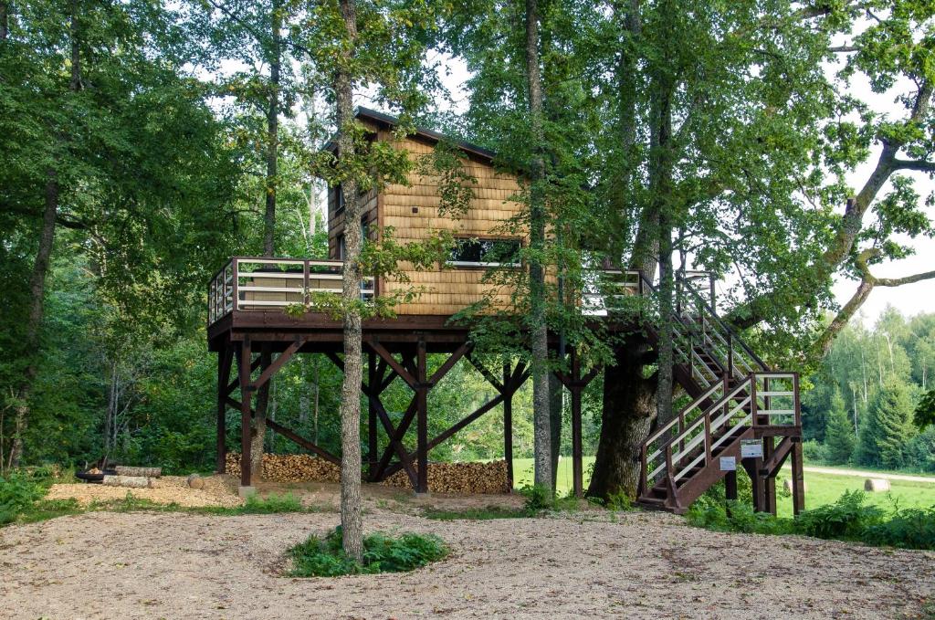 Strazdu Ligzda Off grid treehouse, Meņģele – Updated 2024 Prices
