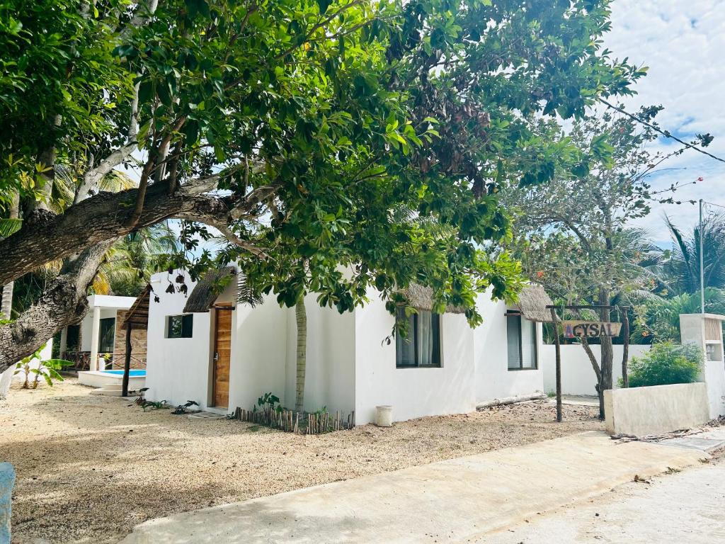 Cómodo y Hermoso departamento a mts de la playa., San Crisanto (updated ...