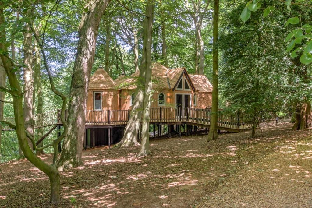 Whimsical Treehouse in CS Lewis' footsteps, Oxford (aktualisierte ...