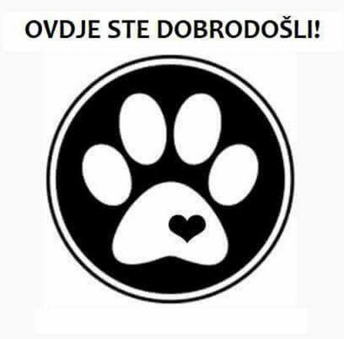 Srebrno jezero apartman, Ostrovo (updated prices 2025)