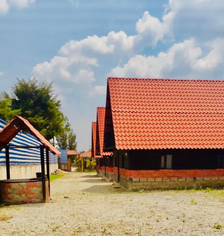 Yatzil, La Trinitaria (updated prices 2025)