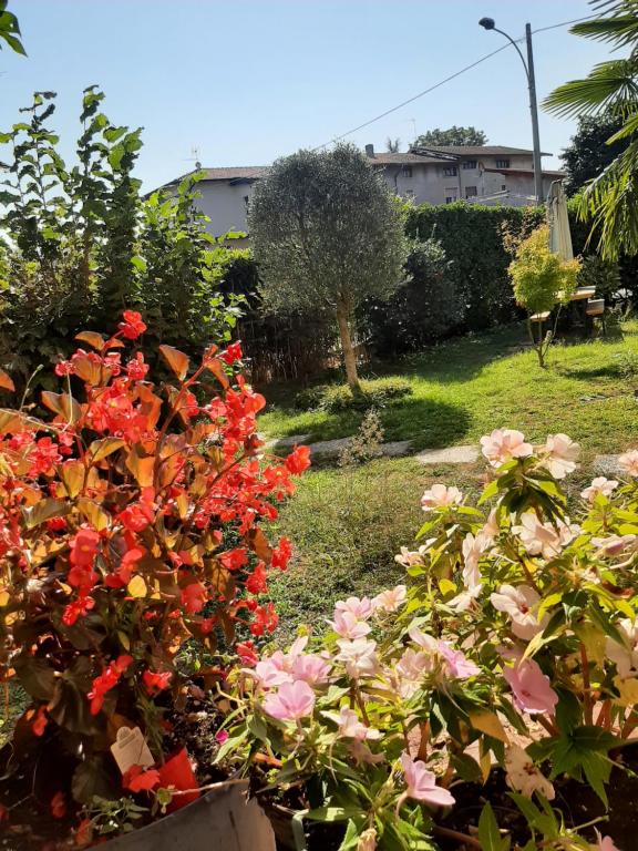 Brumar Gardens | Fasci Garden