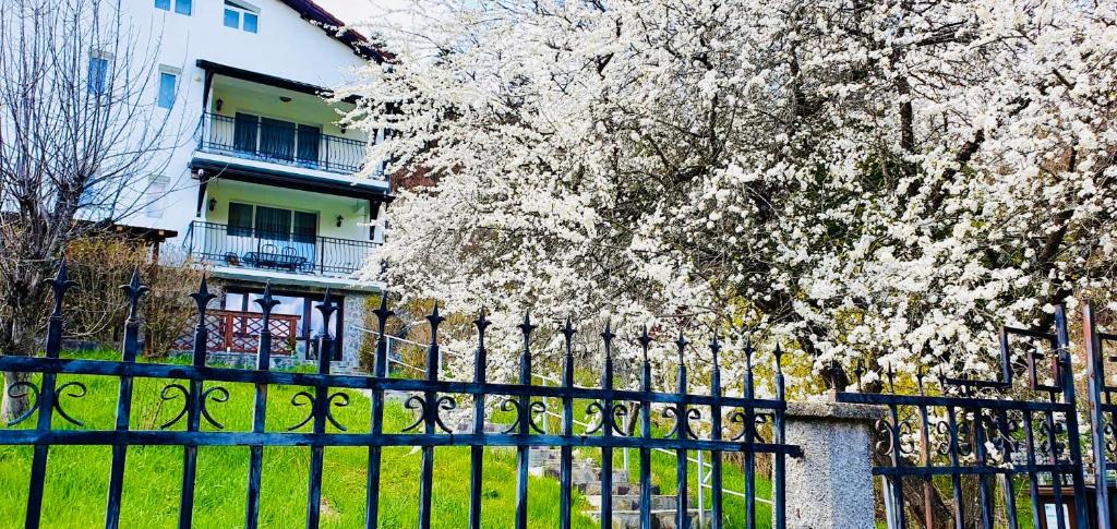 Iepurasul Sinaia, Sinaia – Updated 2023 Prices