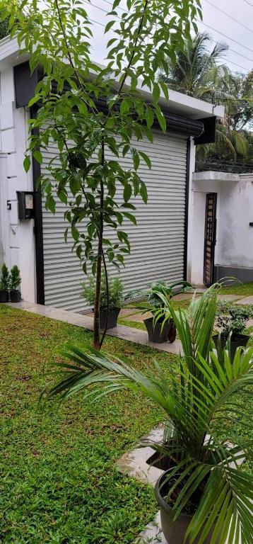 CAW Dream Villa, Ahangama (updated prices 2025)