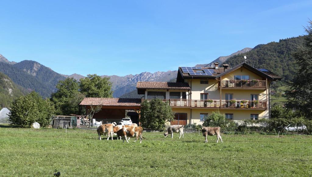 Casa Meri, Enguiso (aktualisierte Preise für 2025)