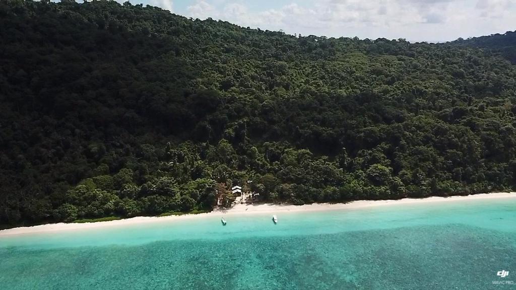 SELAYAR TURTLE BAY, Barangbarang (updated prices 2024)