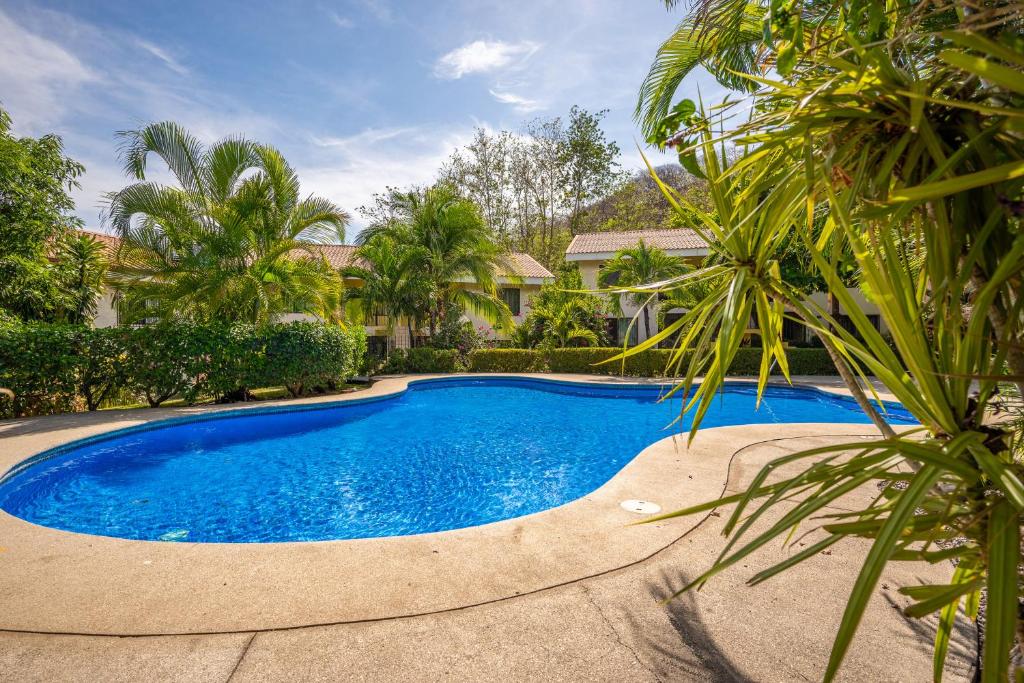 Dolce Vita 7025, Coco (updated prices 2026)