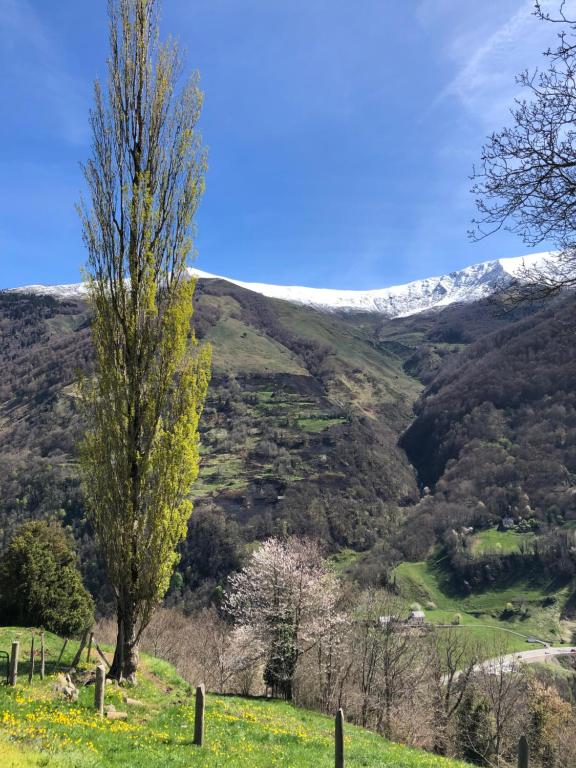 Maison de montagne, Borce (updated prices 2024)