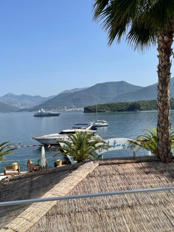 Emerald Suite with Pool, Private beach and Private Sea View Terrace ...