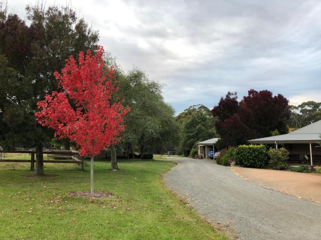 Meriba B and B, Bundanoon (updated prices 2025)