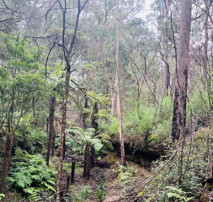 Meriba B and B, Bundanoon (updated prices 2025)