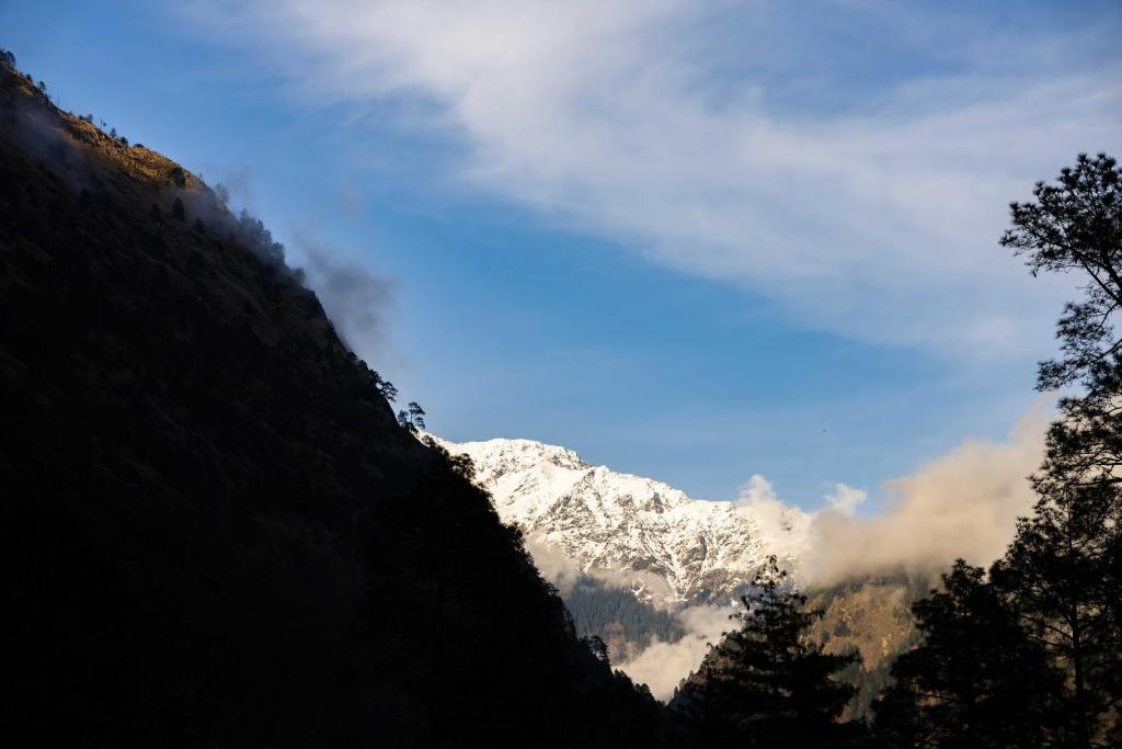 Zostel Kasol (Katagla), Kasol (updated prices 2025)