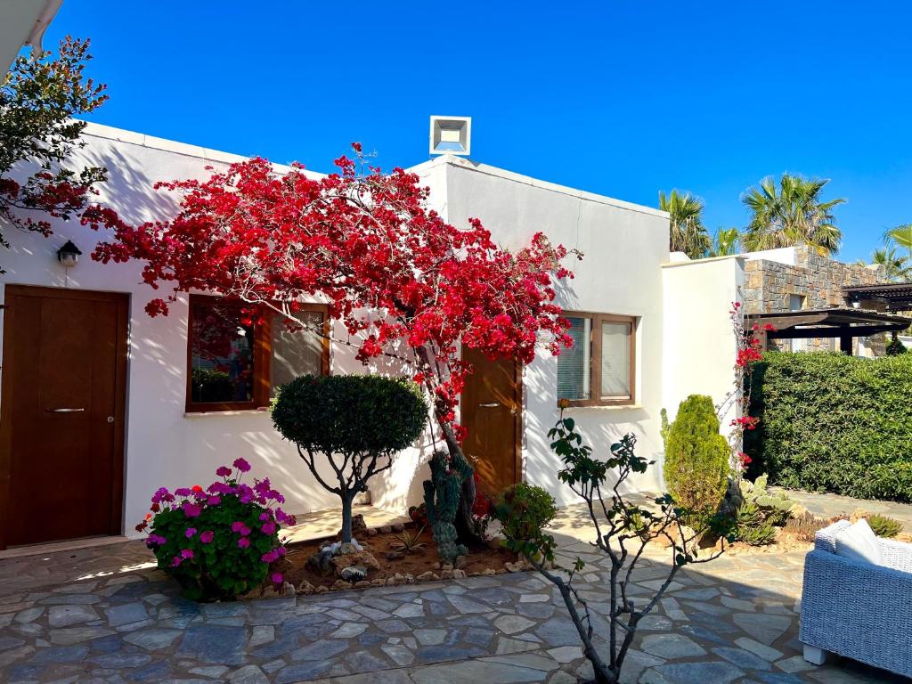 Kali Holiday Apartments, Stalida – Updated 2024 Prices