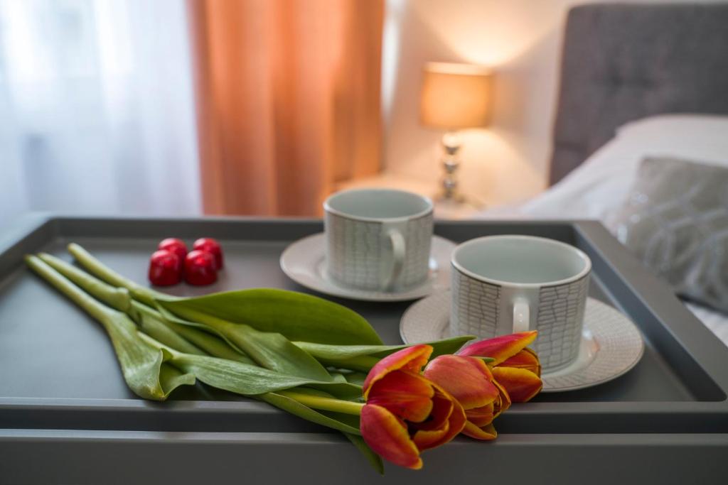 Nice, Split (aktualisierte Preise für 2025)