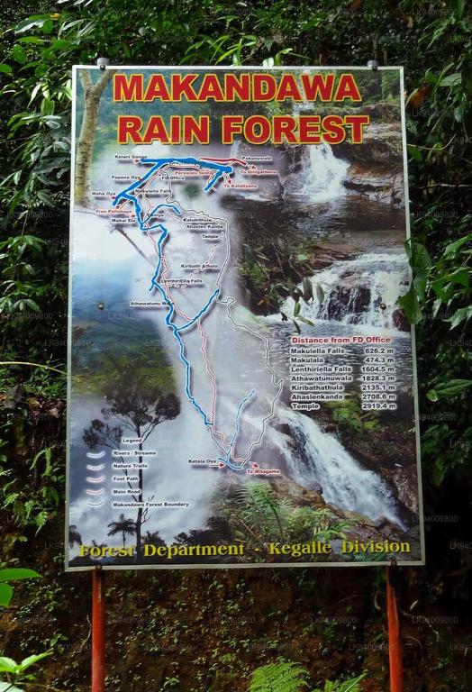 Leon Hilltop Resort, Kitulgala (updated prices 2025)