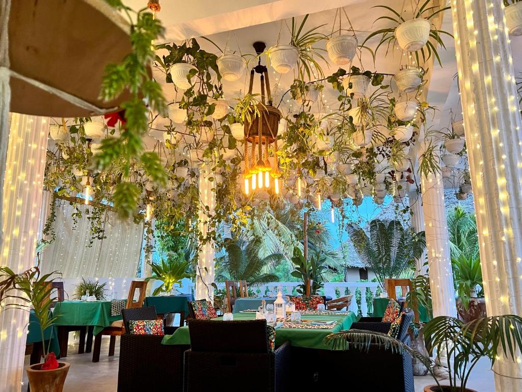 Gadea Boutique Hotel& Gadea Garden Italian Restaurant, Jambiani ...