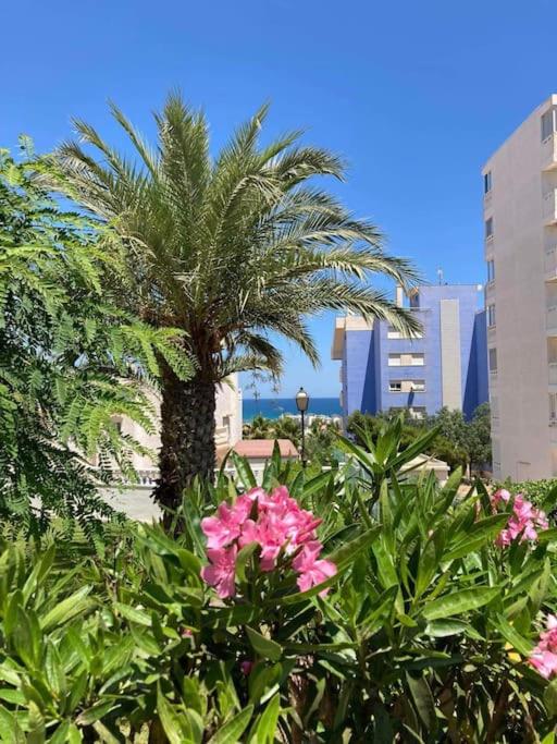 Fantastic Studio La Mata TorreLaMata, Torrevieja (updated prices 2025)