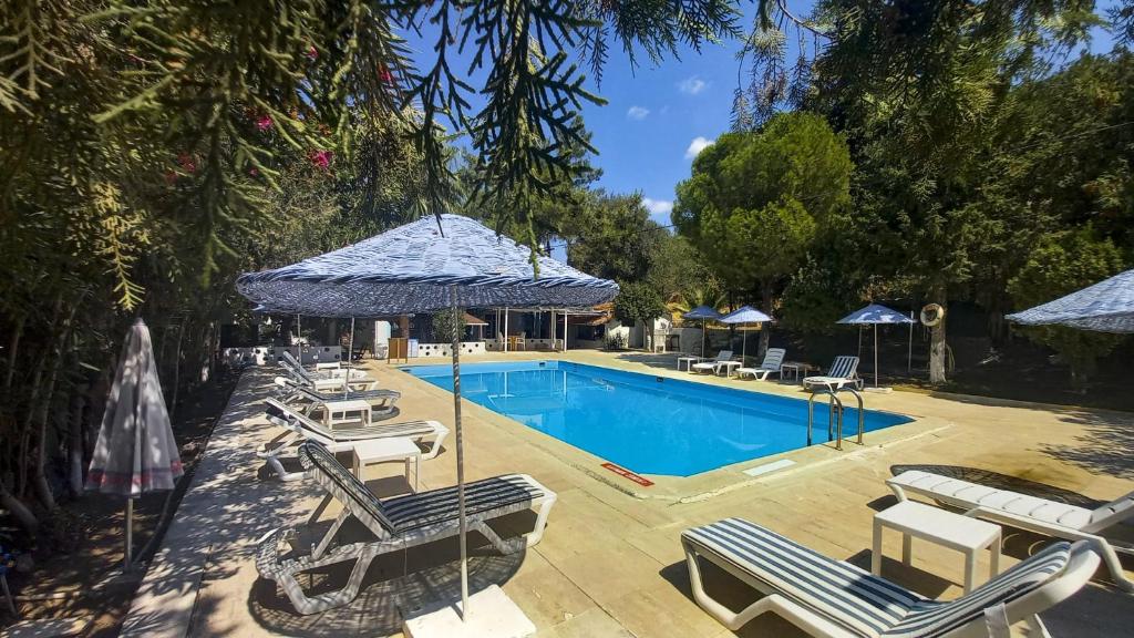TROPICANA BEACH HOTEL - Updated 2024 Prices & Reviews (Gumbet🦗 Descubra ... TROPICANA BEACH HOTEL - Updated 2024 Prices & Reviews (Gumbet🦗 Descubra ...