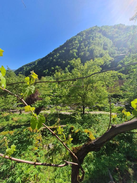 სახლი მდინარის პირას, Zeda Agara (updated prices 2025)