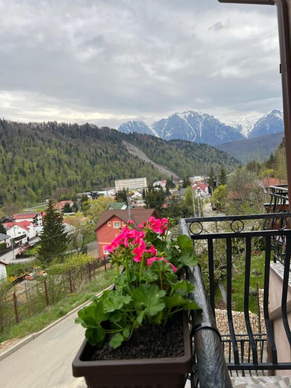 Casa TimEva Azuga, Azuga (updated prices 2025)