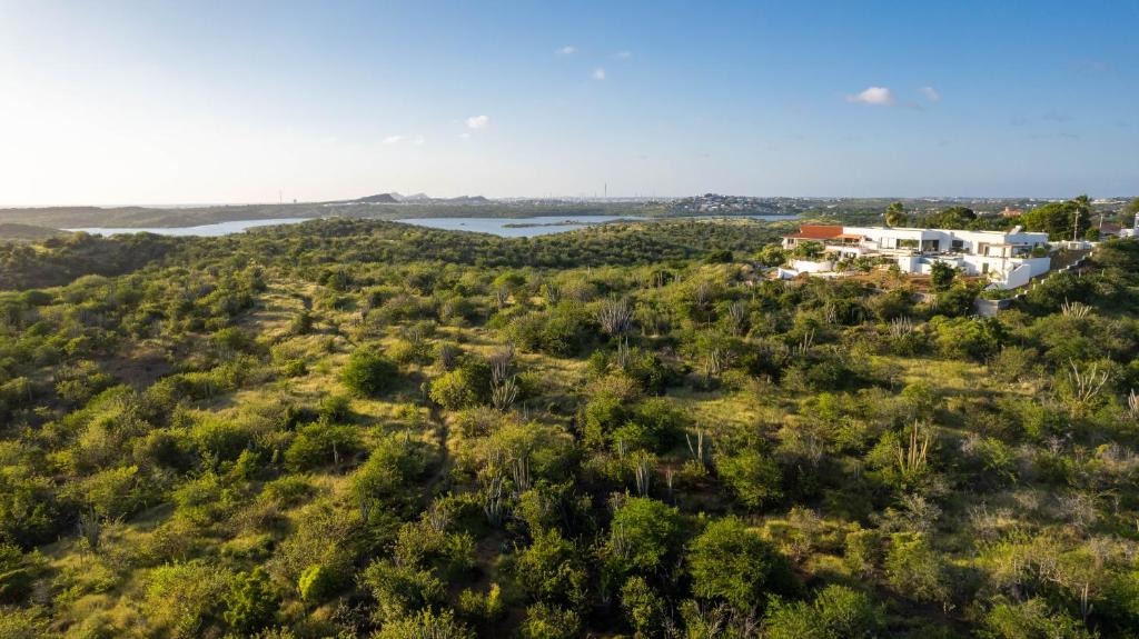 Havana Apartment - Mi Cuna Stays, Jan Thiel – Updated 2023 Prices