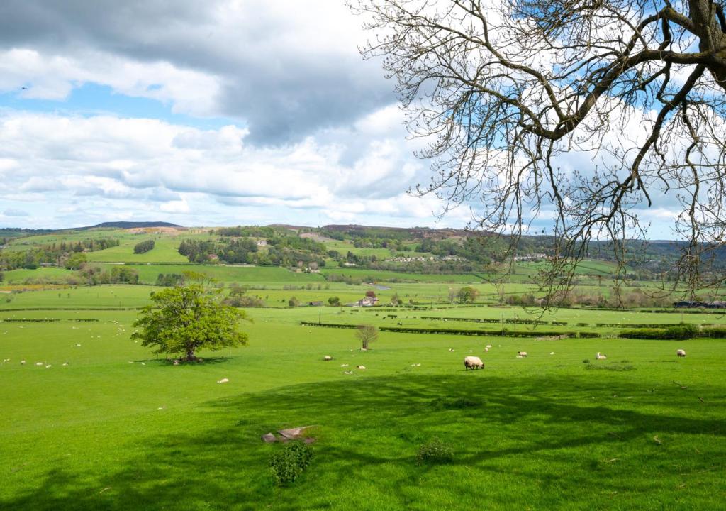 Pele Cottage, Thropton (precios actualizados 2025)