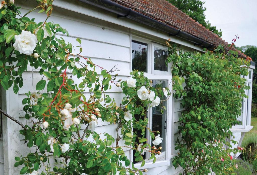 Tufton Croft, Wittersham (updated prices 2024)