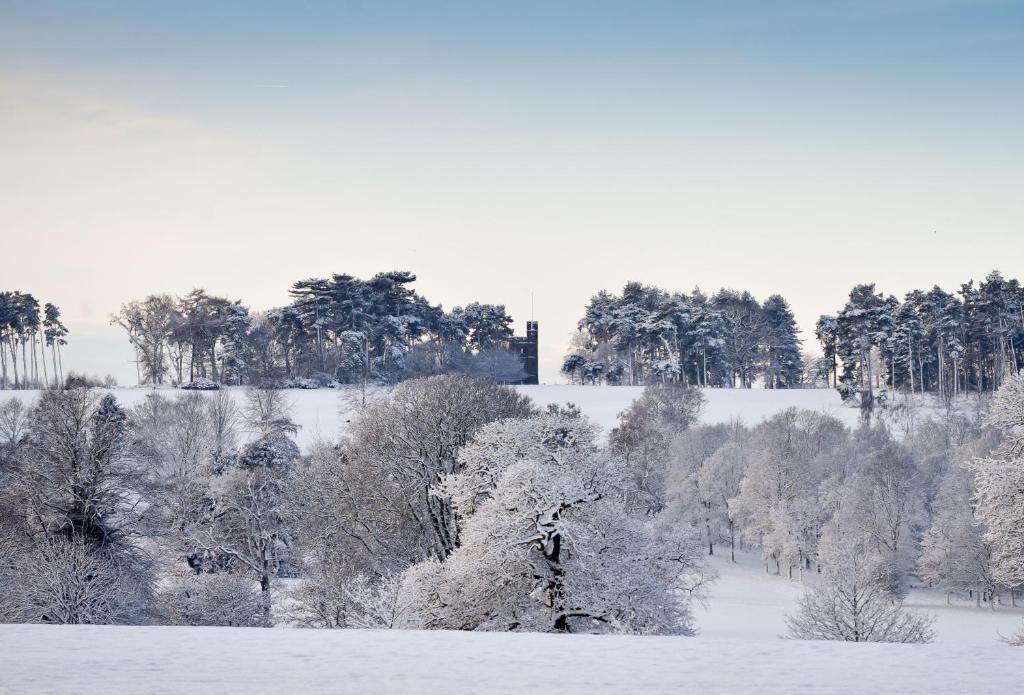 The Knoll Tower, Weston under Lizard (updated prices 2025)