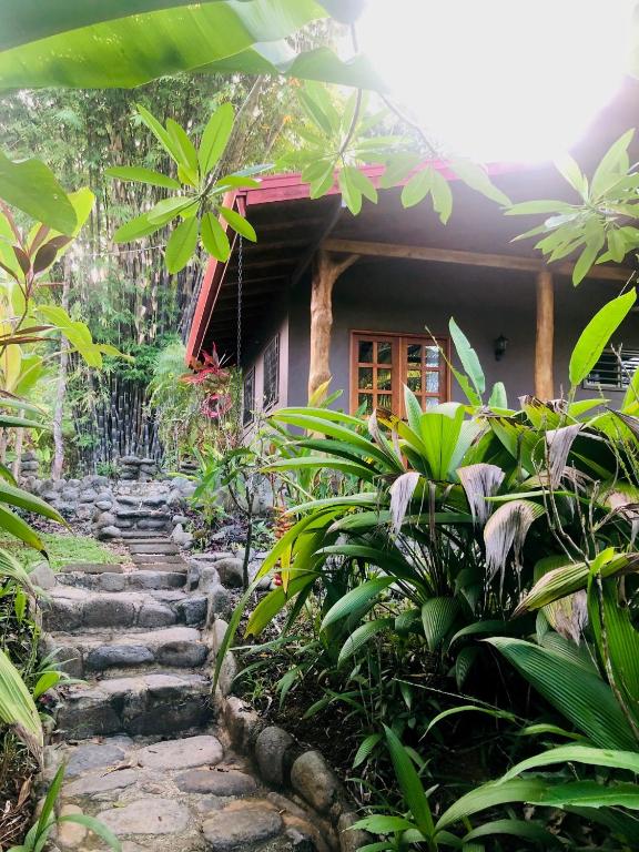 La Rana Deluxe Villa - Riverfront With A Pool, Uvita (updated prices 2024)