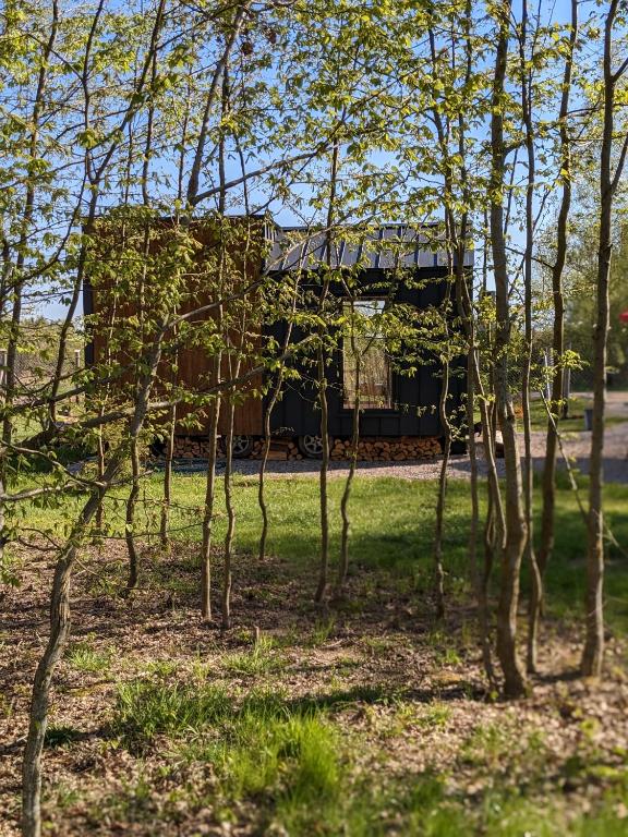 hurra dziura, Salino – Updated 2023 Prices