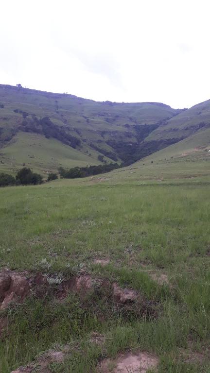 Gabhele mountain campsite, Tsolo (updated prices 2025)