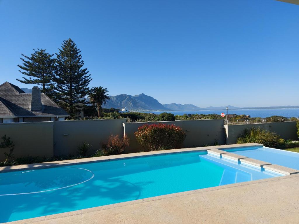 Whale Watchers Paradise Hermanus Updated 2024 Prices