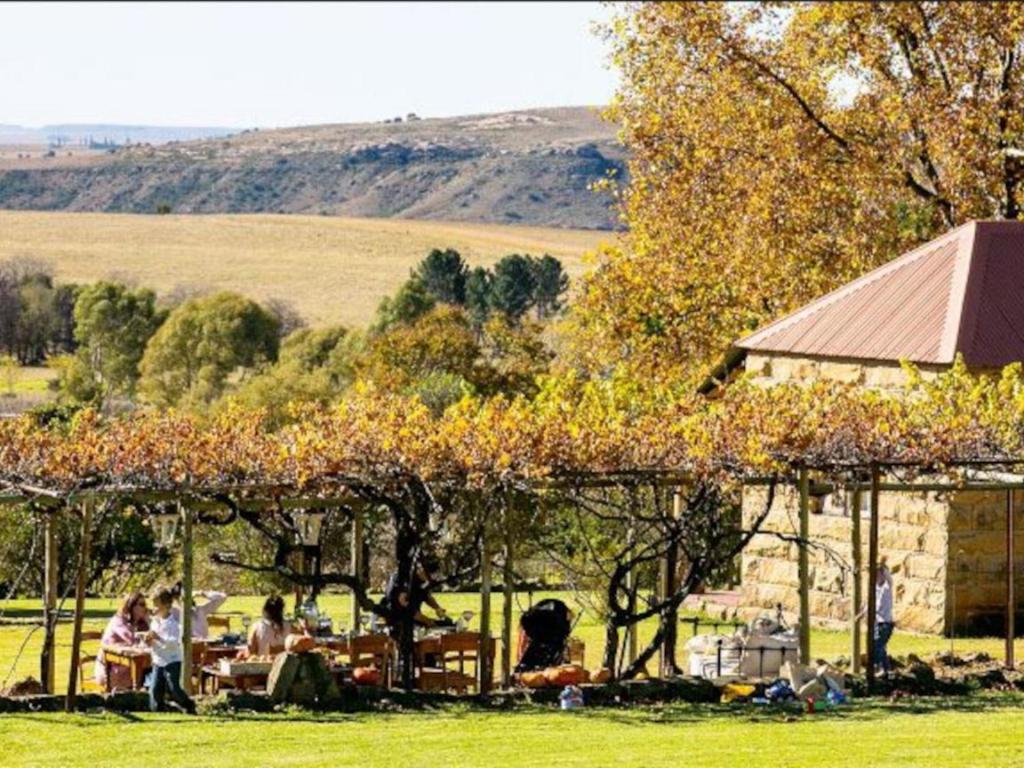 Thula Guest Farm, Clarens (updated prices 2025)