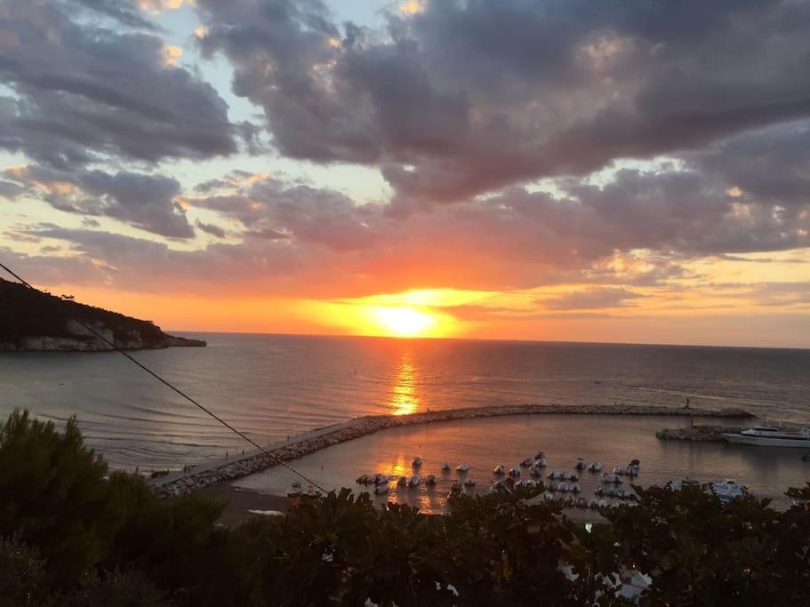 Best view of Gargano with family - Large house sea front with terrace ...