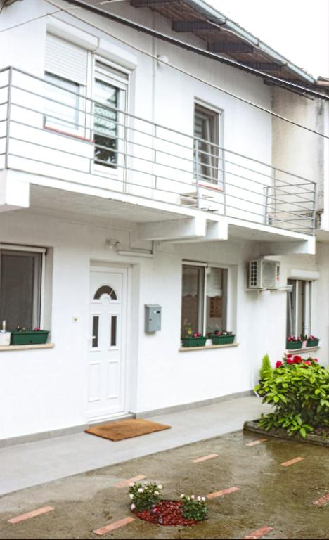 Red Kruz, Vračar (historical) (updated prices 2025)