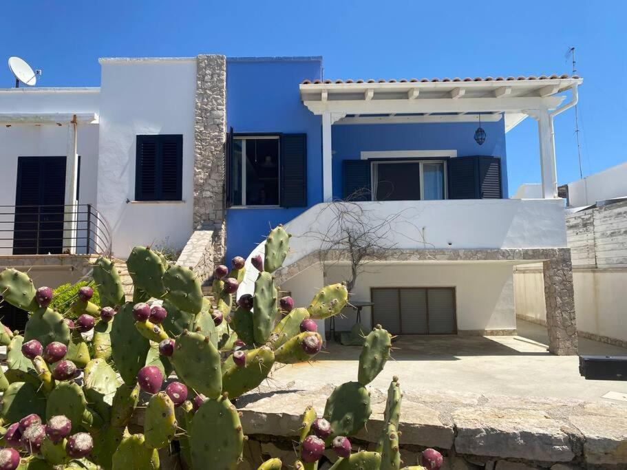 Villa fronte mare, Torre Suda (updated prices 2025)