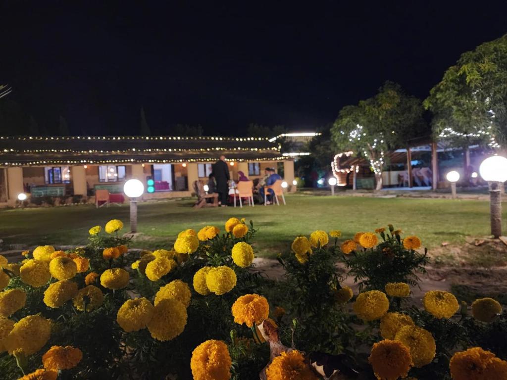 Orange Lake Resort, Khanpur (updated prices 2024)