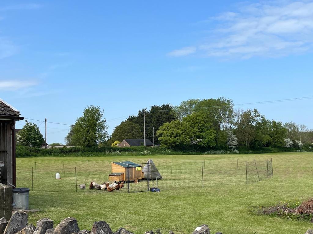 The Stag, Compton Dando (aktualisierte Preise für 2024)