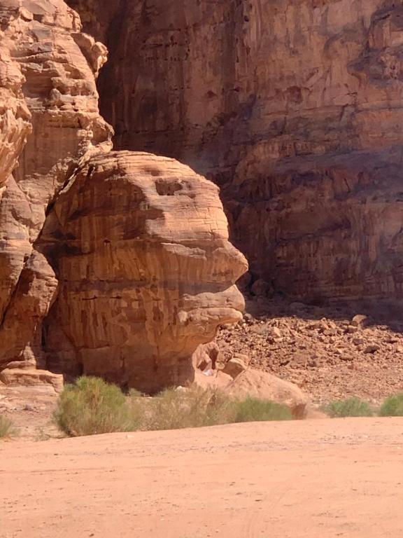 Wadi Rum Stars Camp, Wadi Rum – Aktualisierte Preise für 2023