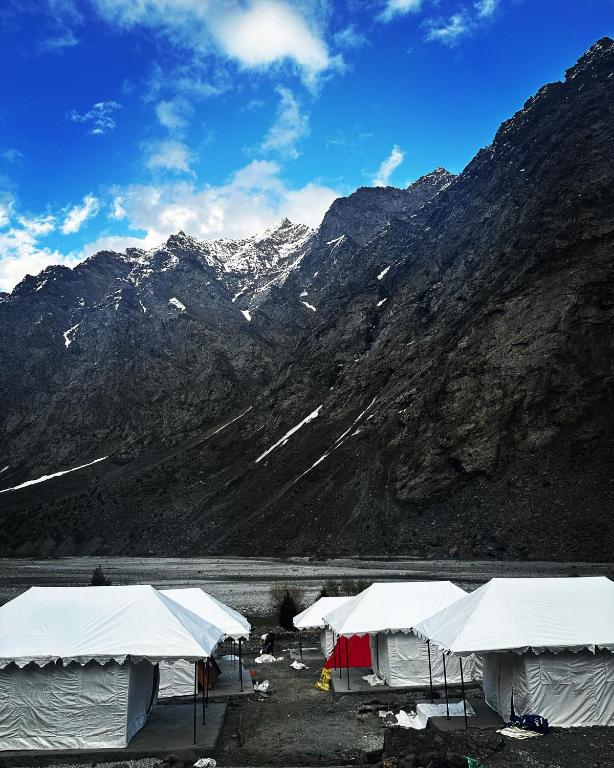 Bored Ape Jispa - Camp Site, Jispa (updated prices 2026)