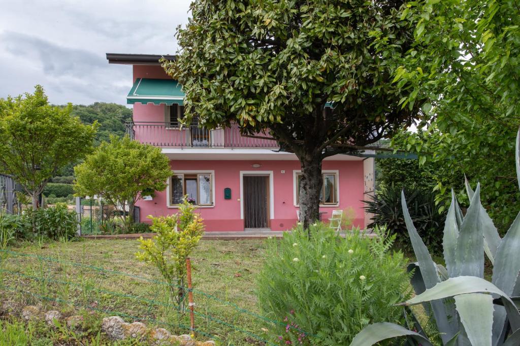 La collina dei nonni - Tarzo, Tarzo (updated prices 2025)