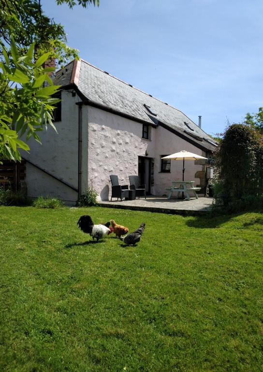 Farm accommodation - The Lizard Peninsula, Cornwall, Helston (updated ...