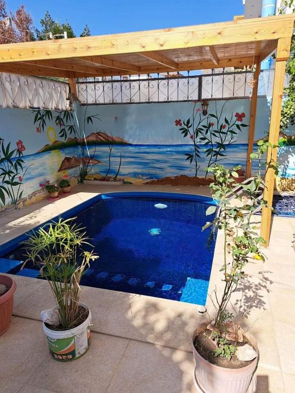 Villa Louise guest house, Luxor (bijgewerkte prijzen 2025)