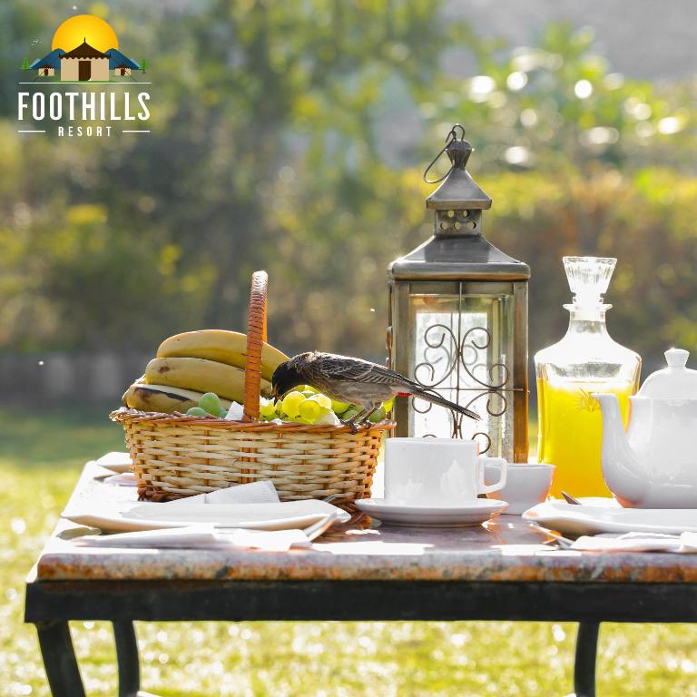 Foothill Pushkar Resort, Pushkar (updated prices 2025)